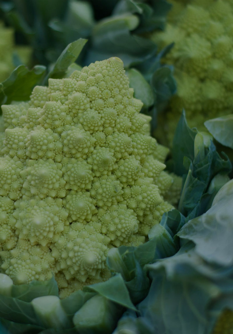 CBD Berlin: Entdecke Premium CBD Blüten bei Ambinoid - Ambinoid